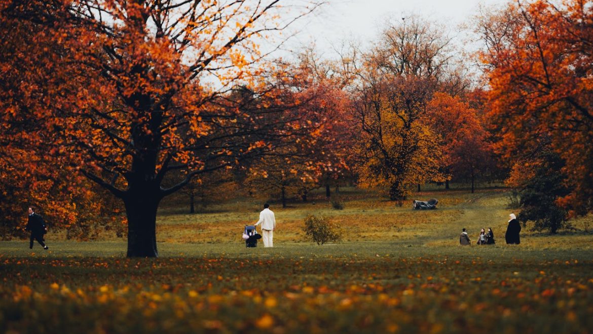 The Most Iconic Buildings in Sheffield - CK Architectural - South Yorkshire
